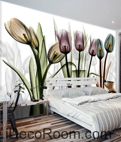 A beautiful dream fresh and colorful in full bloom transparent tulips ...